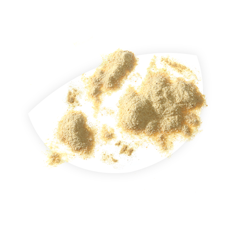 Pea Protein 60 | Proceres Pea Protein 60 | Proceres