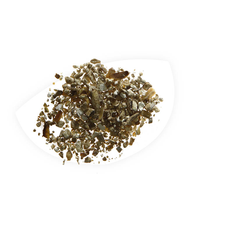 Protato Cuttings | Proceres