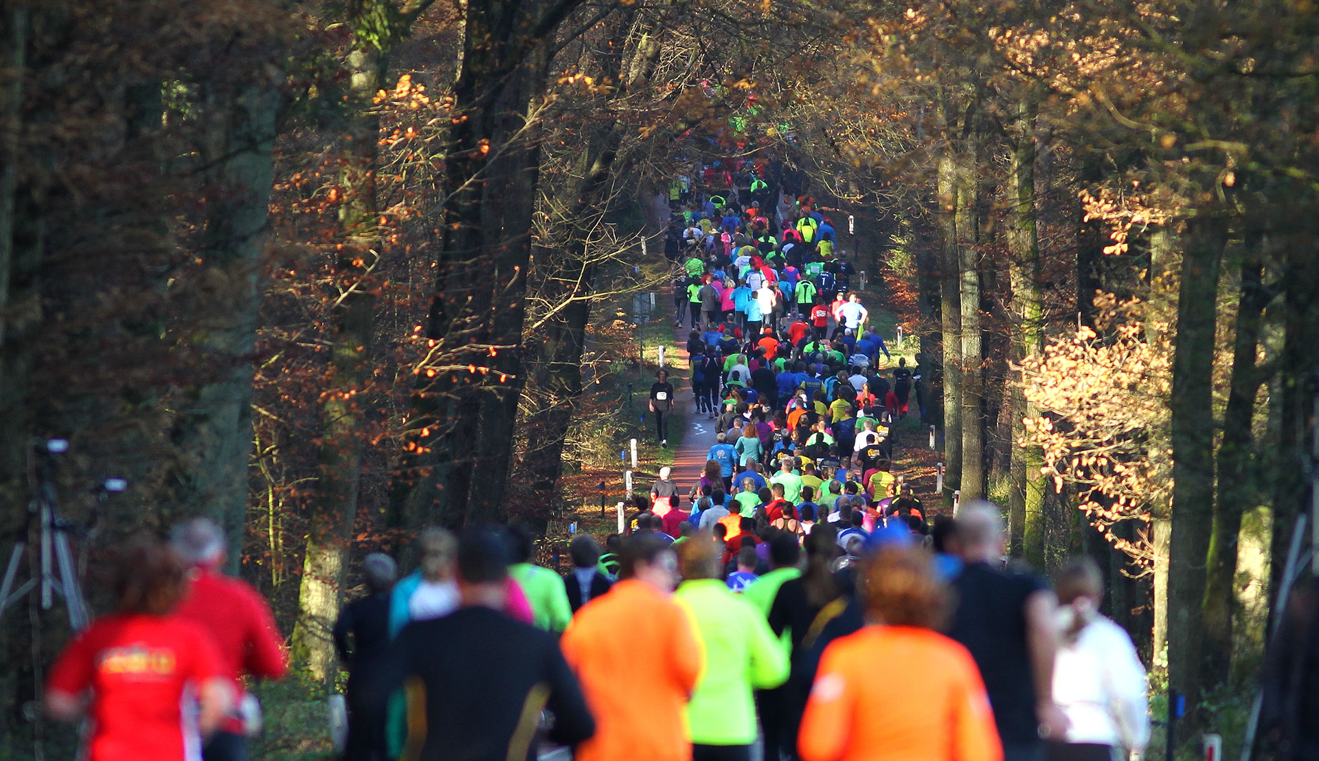 Home | Montferland Run