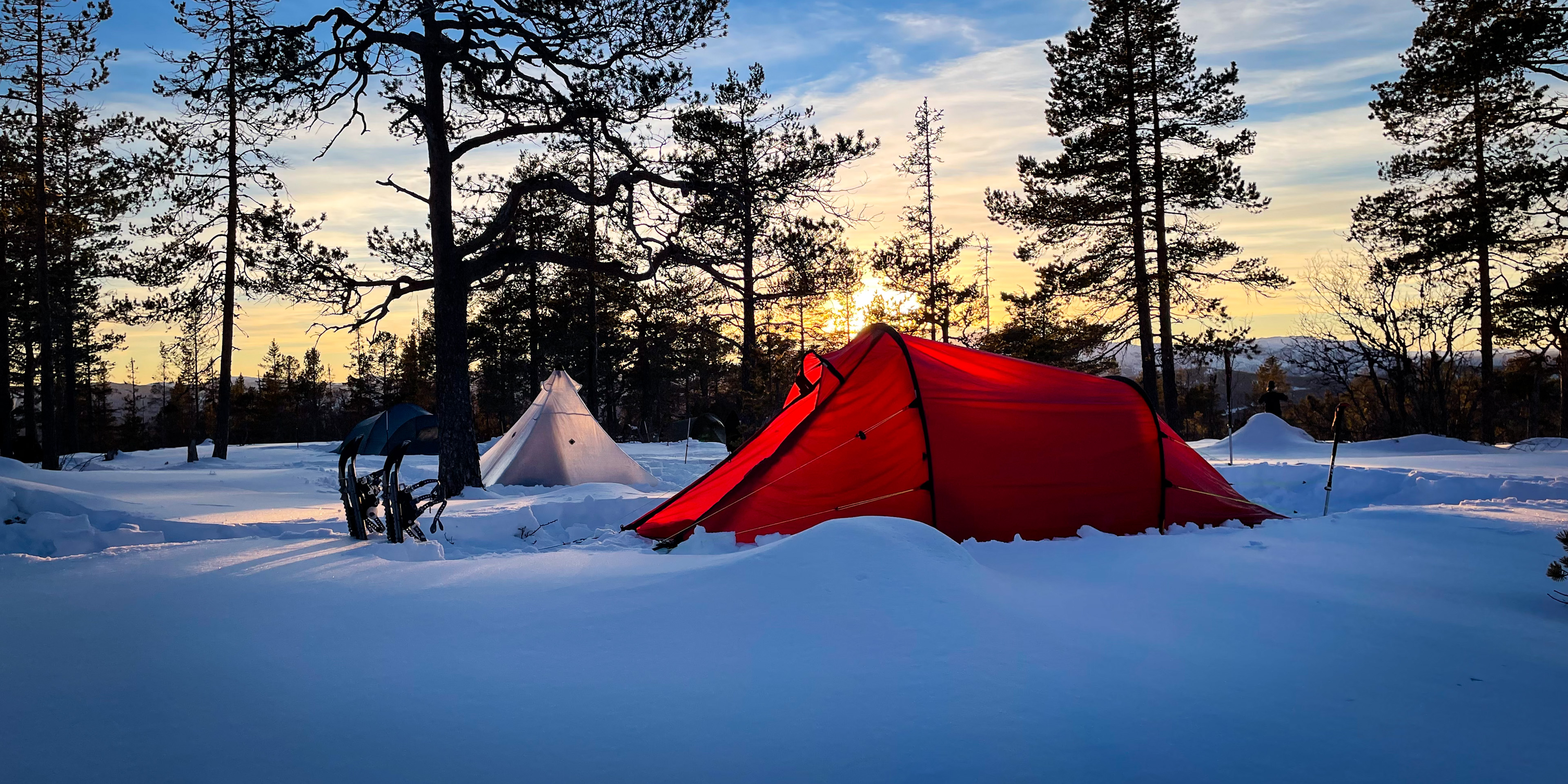 Winterkamperen in Scandinavië – Survival in de sneeuw